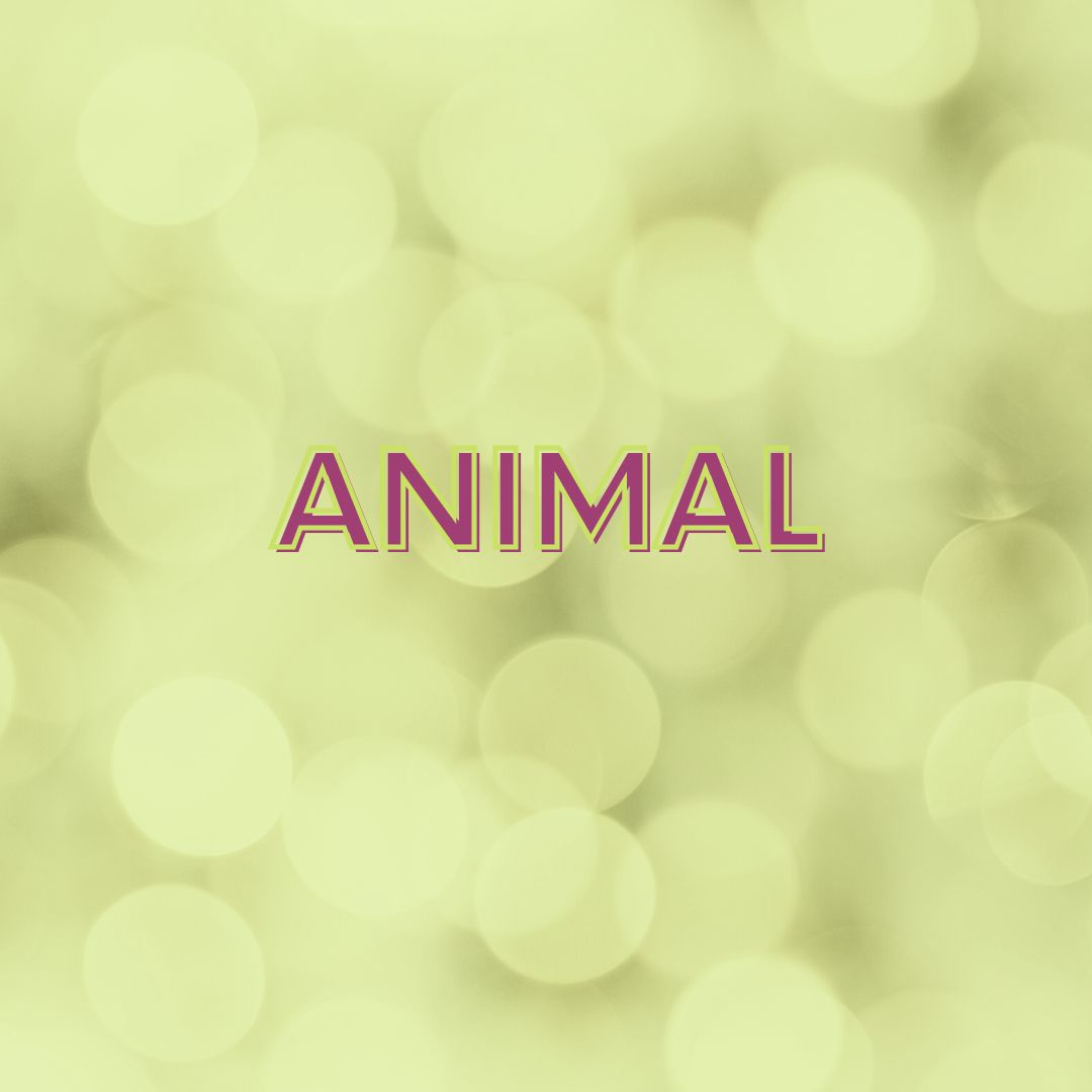 Animals – Jelly Designs